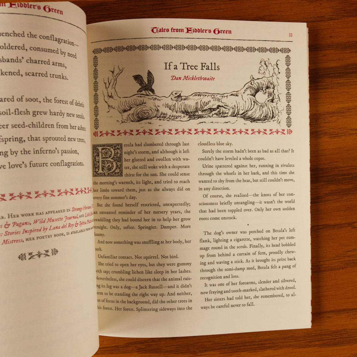 Tales from Fiddler's Green 1 – ratti incantati