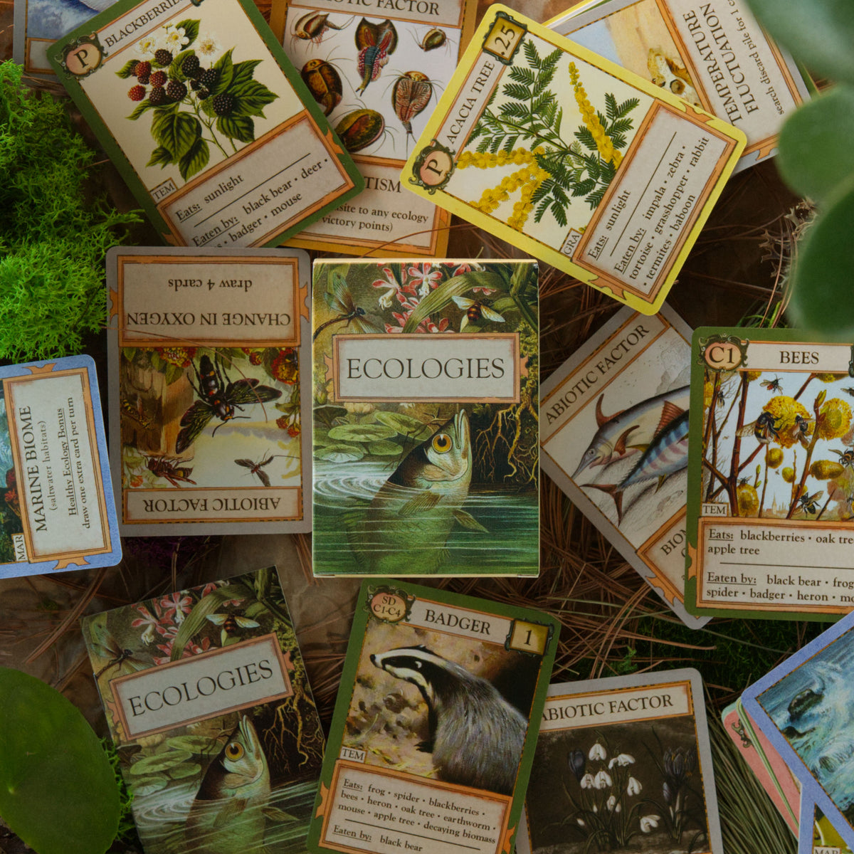 ECOLOGIES Card Game – ratti incantati